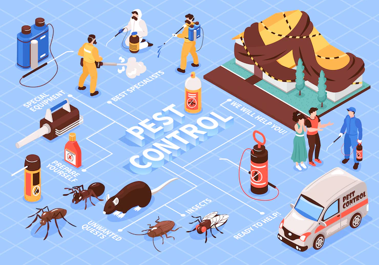 Pest Control Services in Pune | Best pest control Services